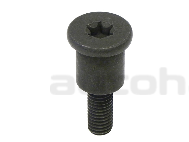 Genuine BMW 11317533488 Timing Chain Guide Bolt; Left - BMW