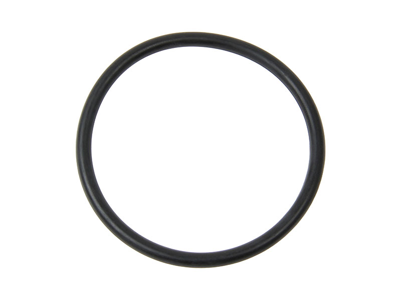 Rein 16055300, 407639600 Thermostat Seal - Audi, VW | 06B121119B