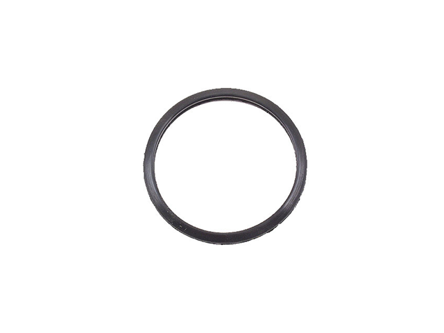 Stone 1634135010, JG18422 Thermostat Seal - Toyota | W01331643316
