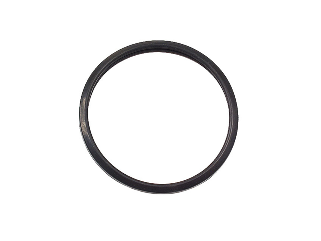 Nippon Reinz 1634650010 Thermostat Seal - Lexus, Toyota | W01331642674