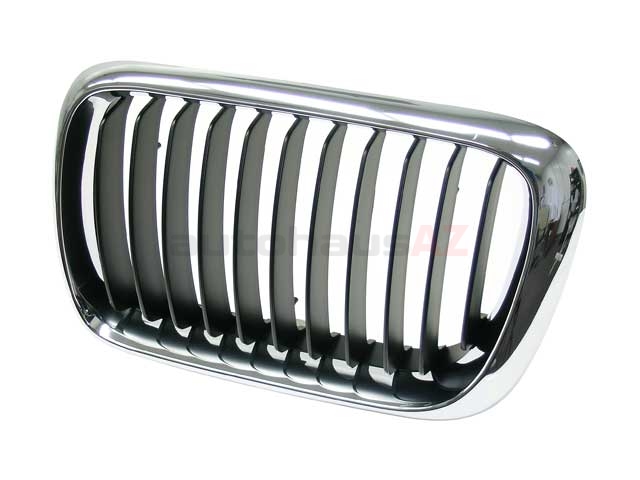 Genuine BMW 51138195151 Grille; Left - BMW