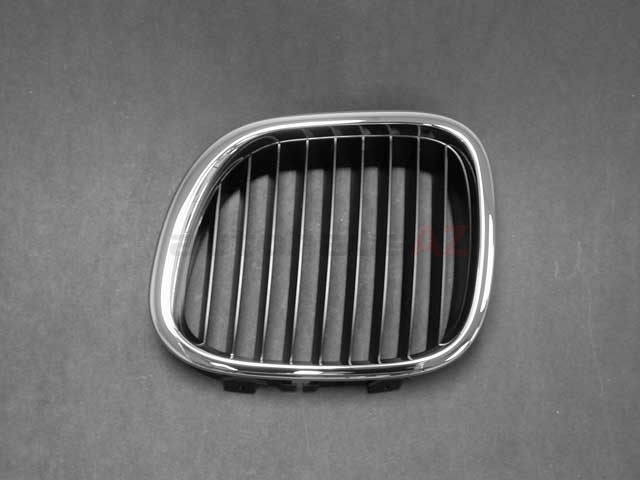 Genuine BMW 51138397503 Grille; Front Left - BMW
