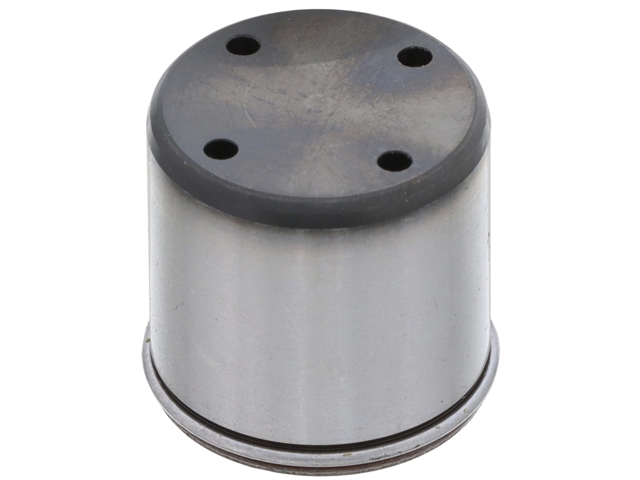 Elring Klinger WHT005184, 174270 Fuel Pump O-Ring - Audi, Porsche, VW ...