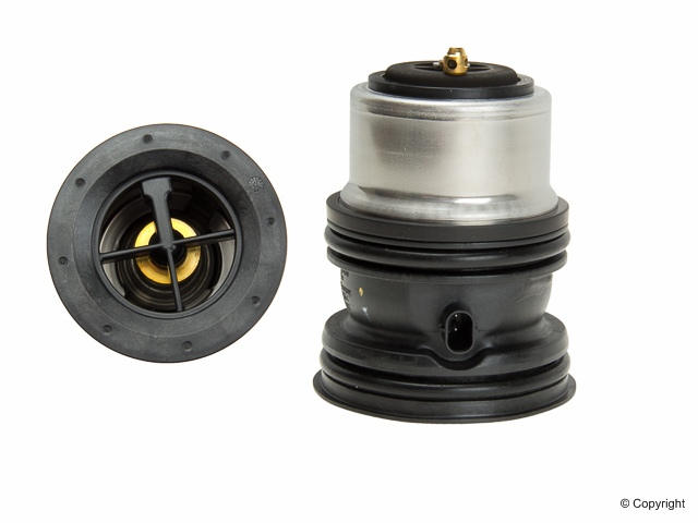 Genuine 94810603401 Thermostat