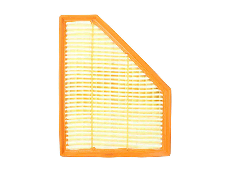 Purflux A1333, 13717797465 Air Filter - BMW