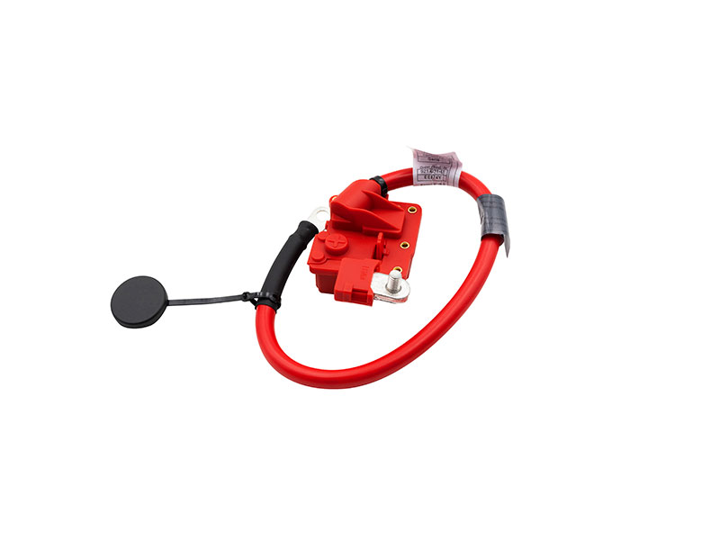 AAZ Preferred Plus 61129217031, 7410860 Battery Cable; Positive ...