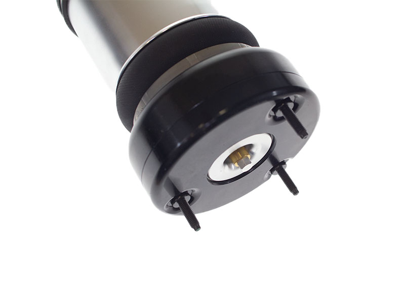 Arnott Industries AS-2820 Strut Assembly; Front - Mercedes | 2213200038 ...