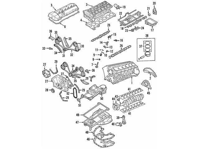 Genuine BMW 11317504451 Timing Chain Guide/Rail; Upper - BMW
