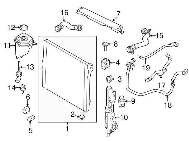 Genuine BMW 17128517969 Radiator Coolant Hose; Right, Lower - BMW