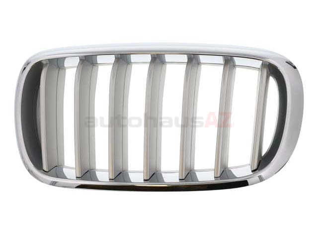 Genuine BMW 51117303107 Grille; Front Left - BMW
