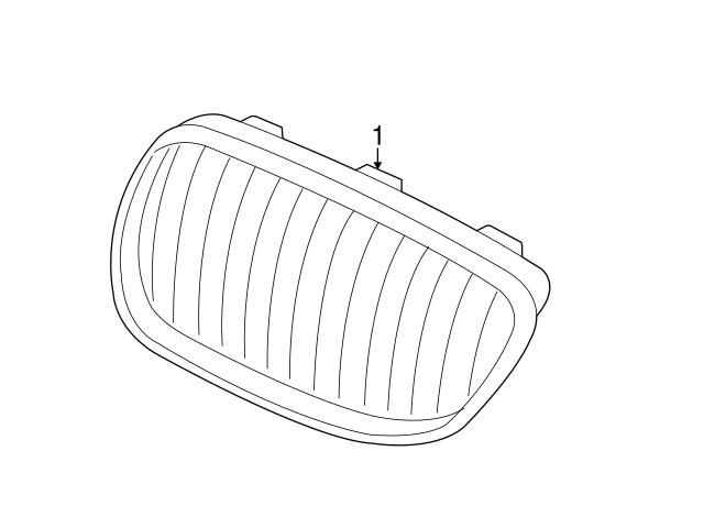 Genuine BMW 51117464484 Grille; Right - BMW