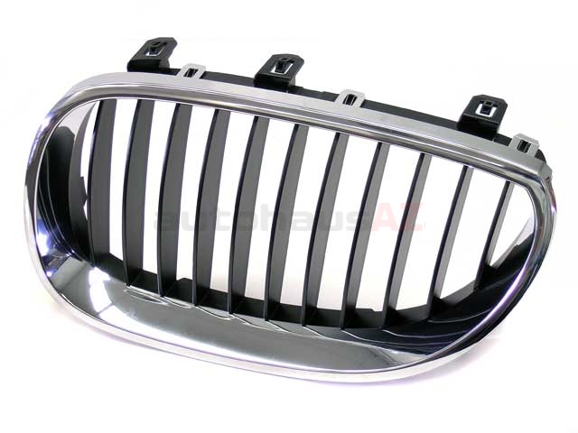 Genuine BMW 51137027061 Grille; Left - BMW