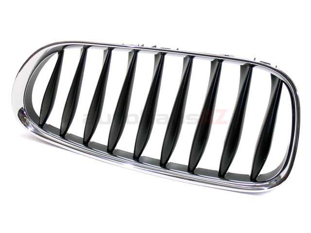 Genuine BMW 51137051957 Grille; Left - BMW