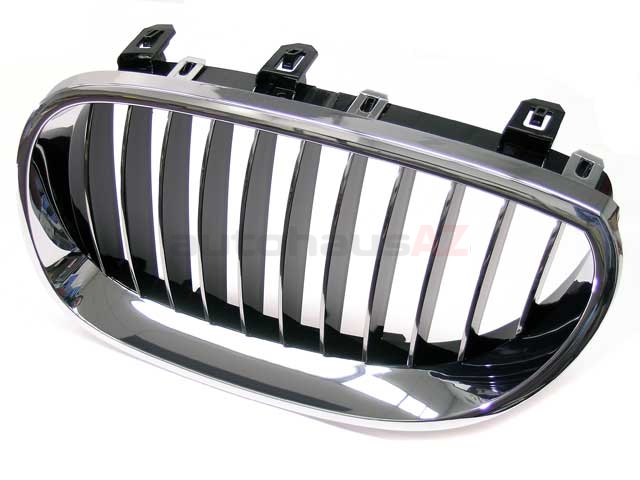 Genuine BMW 51137065701 Grille; Front Left - BMW