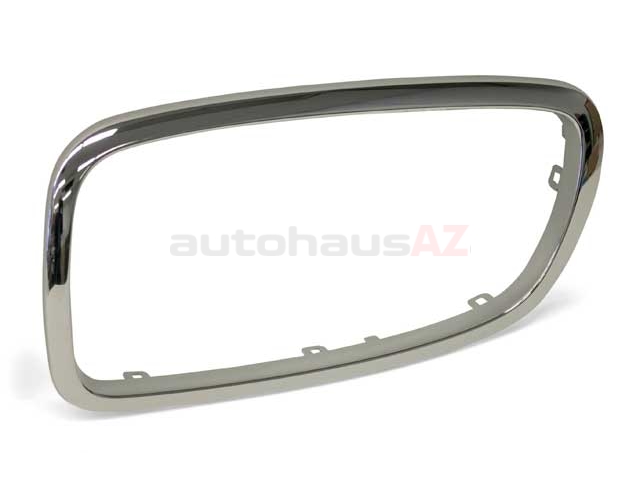 Genuine BMW 51137145739 Grille Molding; Front Left - BMW