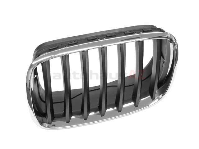 Genuine BMW 51137157687 Grille; Front Left - BMW