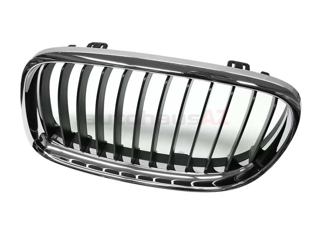 Genuine BMW 51137201967 Grille; Left - BMW