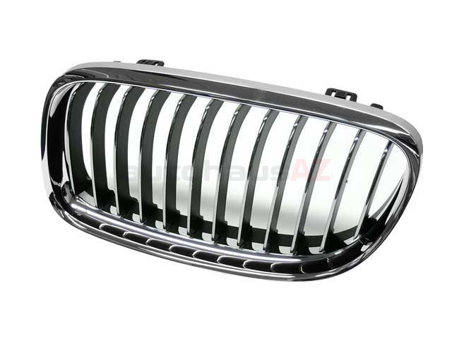 Genuine BMW 51137201969 Grille; Front Left - BMW