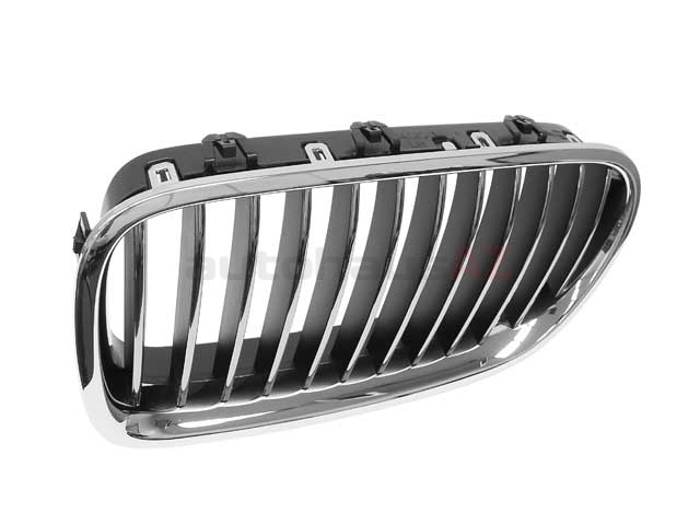 Genuine BMW 51137203649 Grille; Left - BMW | 51137200727
