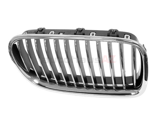 BMW Grille Assembly Parts - Wide Selection to Choose From