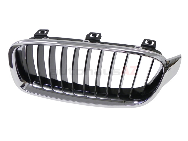 Genuine BMW 51137255411 Grille; Front Left - BMW