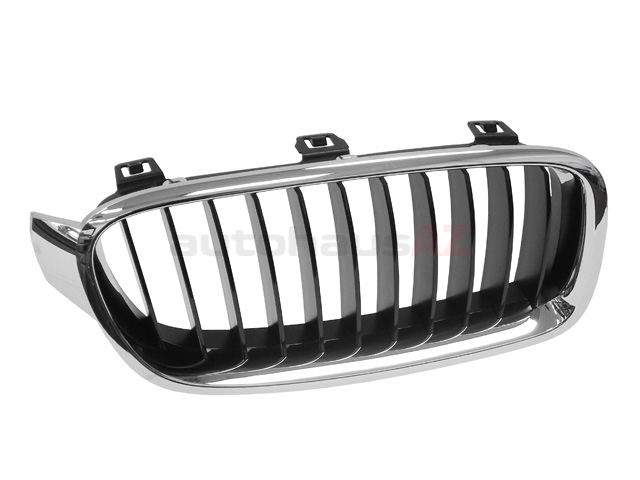 Genuine BMW 51137255412 Grille; Front Right - BMW