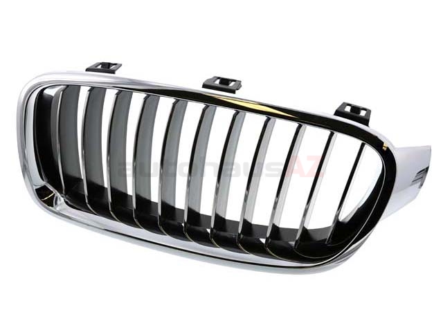 Genuine BMW 51137263481 Grille; Front Left - BMW