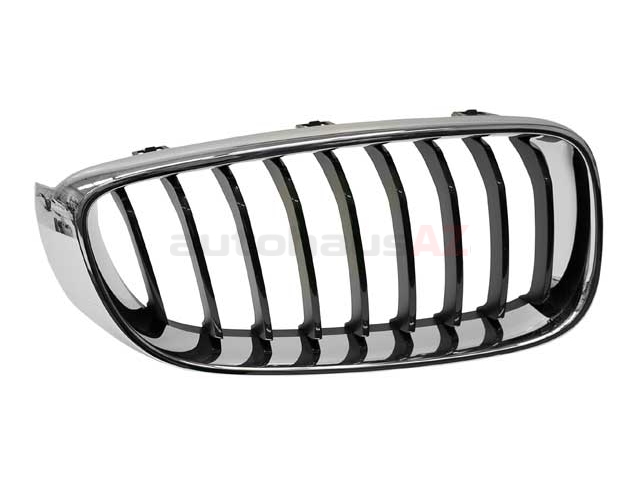 Genuine BMW BM-51137294808 Grille | 51137294808