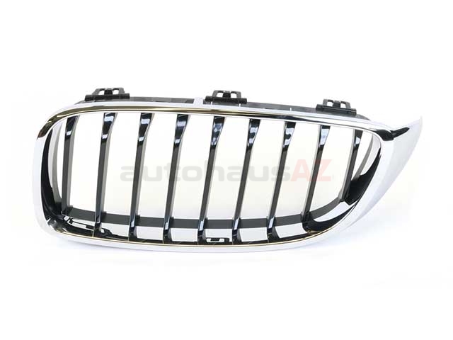 Genuine BMW 51137294817 Grille; Front Left - BMW | 51135A3D025