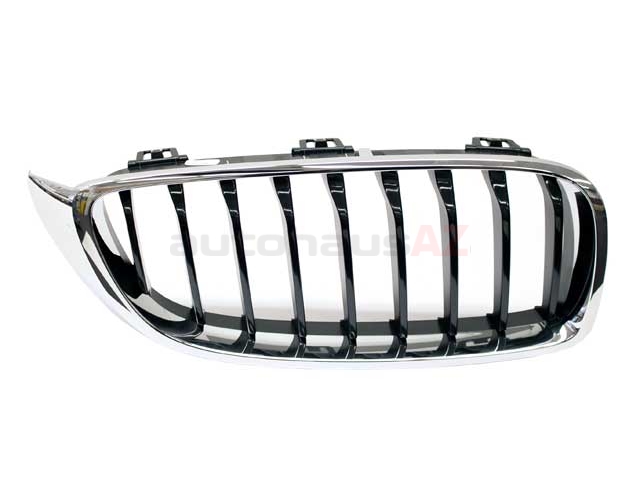 Genuine BMW 51137294818 Grille; Front Right - BMW | 51135A3D026