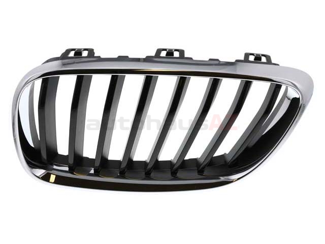 Genuine BMW 51137295523 Grille; Front Left - BMW