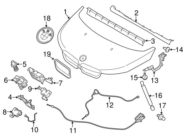 Genuine BMW 51137375884 Hood Molding; Right - BMW