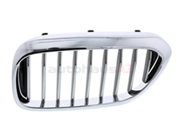 Genuine BMW 51137383519 Grille; Front Left - BMW | 51135A46245