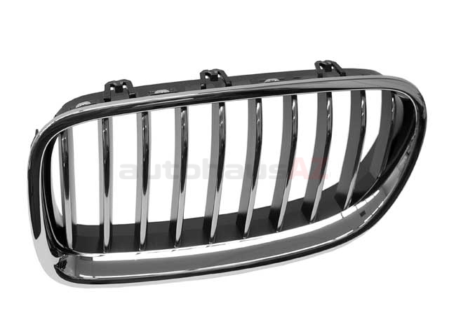 Genuine BMW 51137412323 Grille; Left - BMW | 51132589745 51137336477