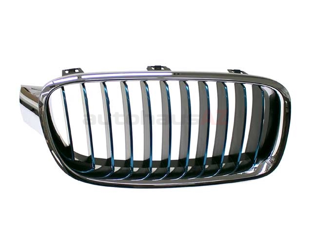 Genuine BMW 51137475968 Grille; Front Right - BMW