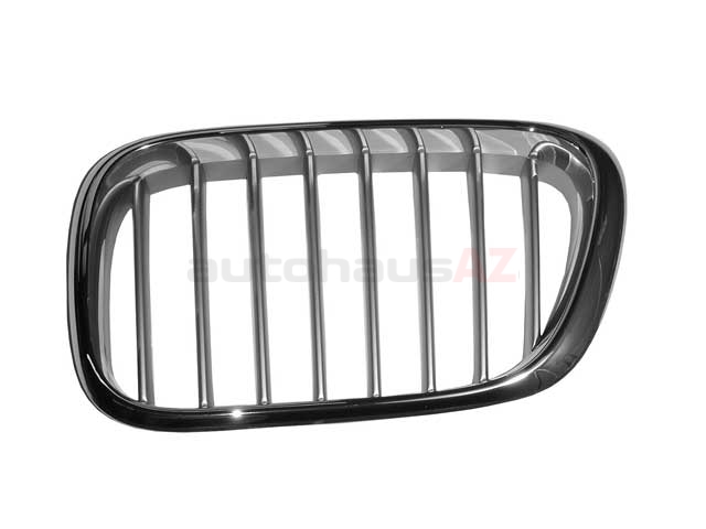 Genuine BMW 51138250051 Grille; Front Left - BMW