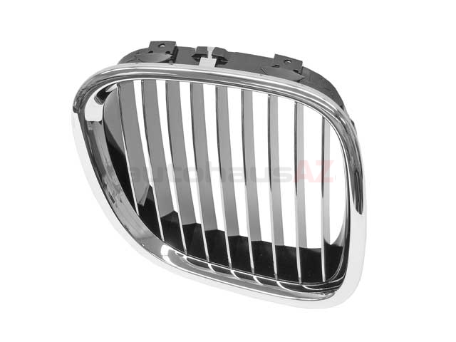 Genuine BMW 51138412950 Grille; Right
