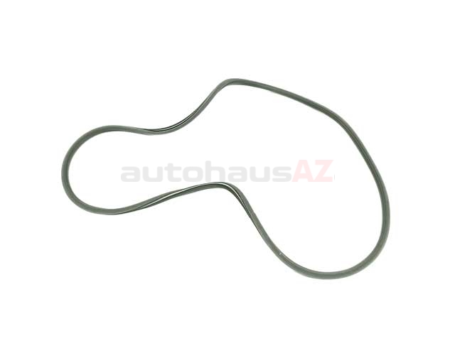 Genuine BMW 51721946393 Door Seal; Front - BMW