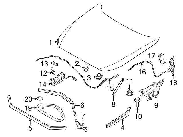 Genuine BMW 51767269997 Hood Seal; Left - BMW