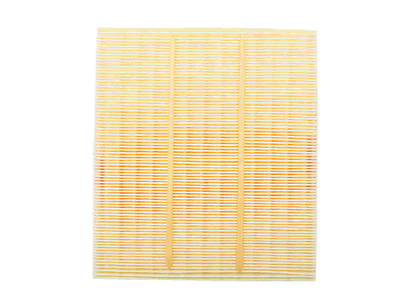 Mann C24025 Air Filter - BMW | 13718507320