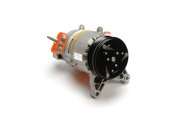 Delphi CS10076 AC Compressor - Chevrolet, Pontiac