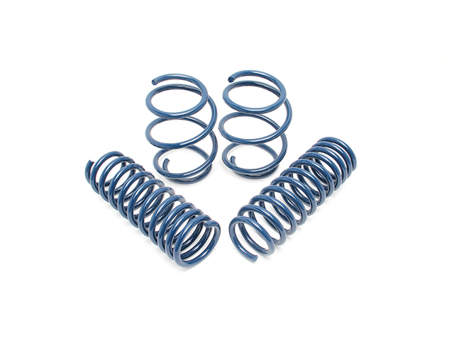 Dinan D100-0913 Coil Spring Lowering Kit; Performance Springs - BMW