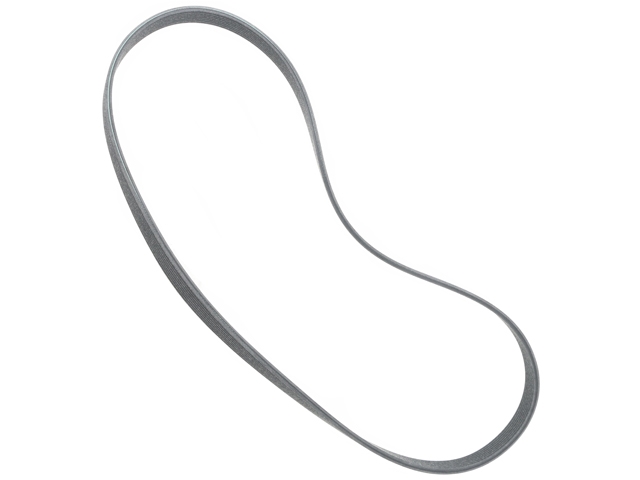 Eurospare C2D61183, LR091608 V Belt/Drive Belt - Jaguar