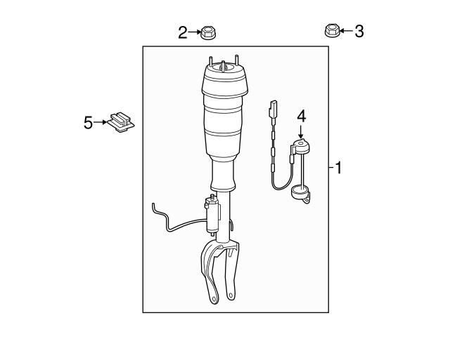 Genuine Mercedes 1664409736 Parking Aid System Wiring Harness; Right ...