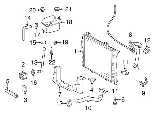Genuine Mercedes 202501508264 Radiator Coolant Hose; Lower | 2025015082