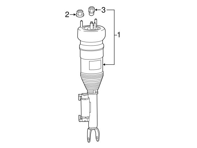 Genuine Mercedes 2053209030 Strut Assembly; Front Right - Mercedes
