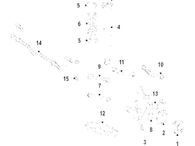 Genuine Mercedes 2533201430 Shock Absorber; Left, Right - Mercedes ...