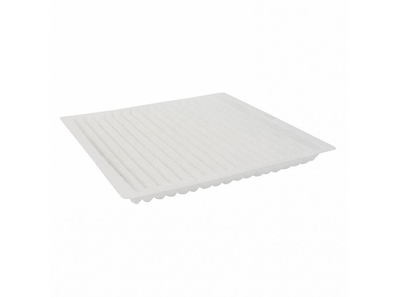 Motorcraft FP65 Cabin Air Filter - Ford, Lincoln