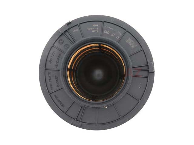 Mann 8W0133843, C17010 Air Filter - Audi