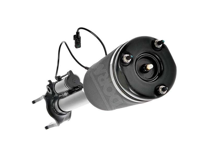 Dorman 949-850 Air Suspension Strut; Front - Mercedes | 1643204313 ...